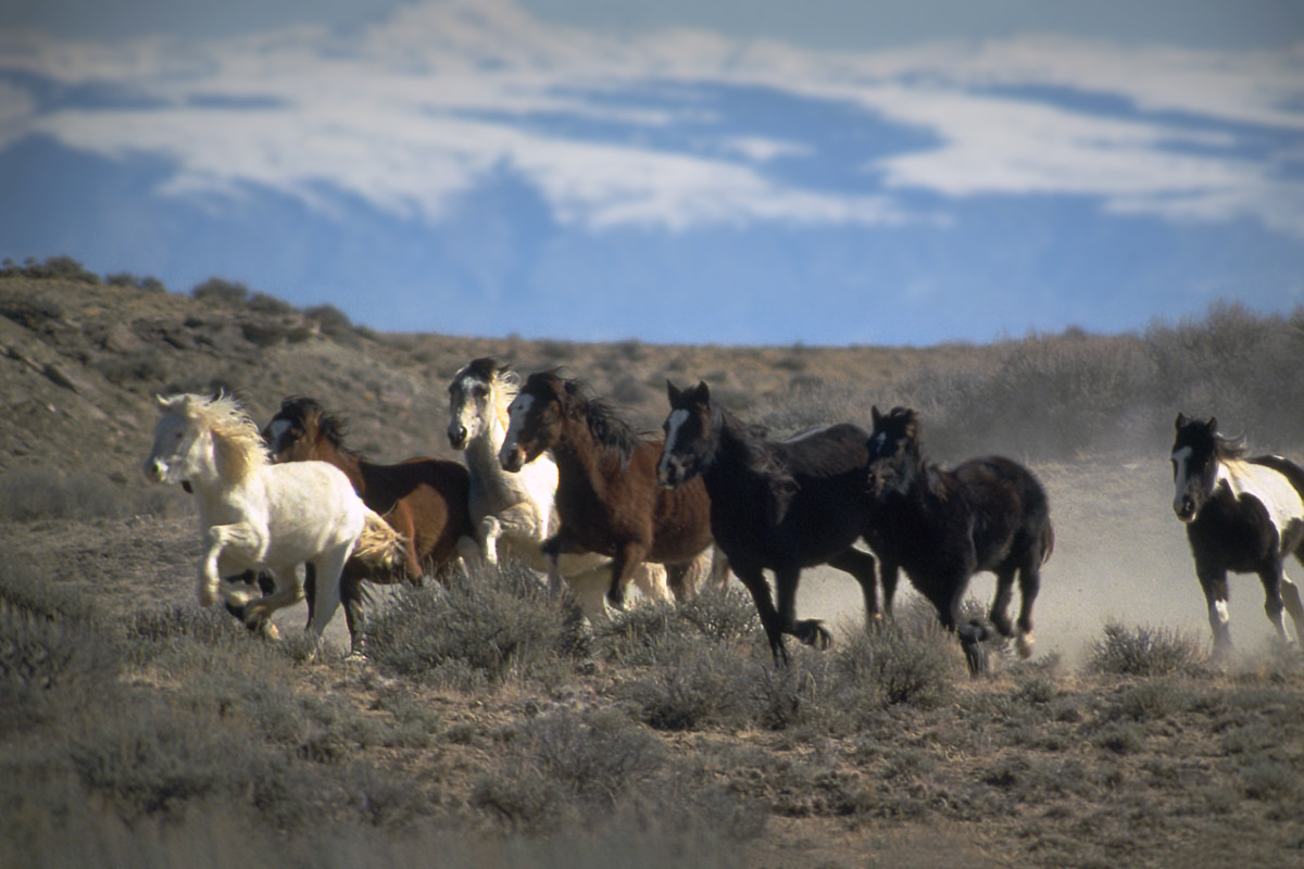 Amazing Legends - GetOutdoorsTV