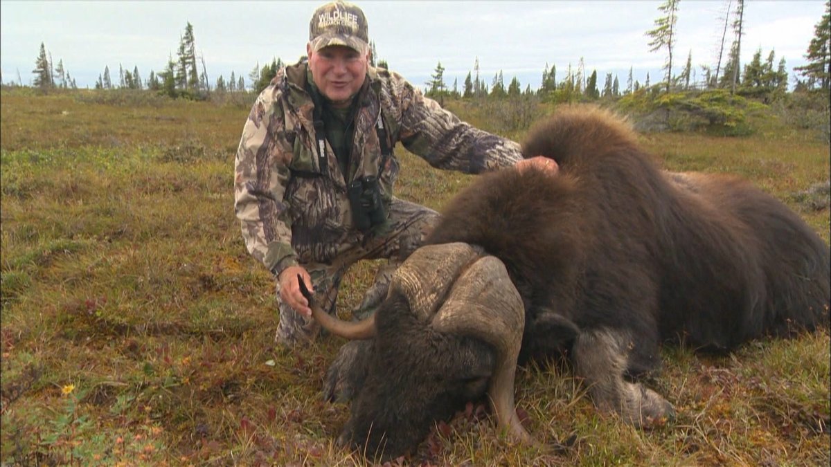 2014 Episode 1: Arctic Field Of Musk Ox Dreams - GetOutdoorsTV