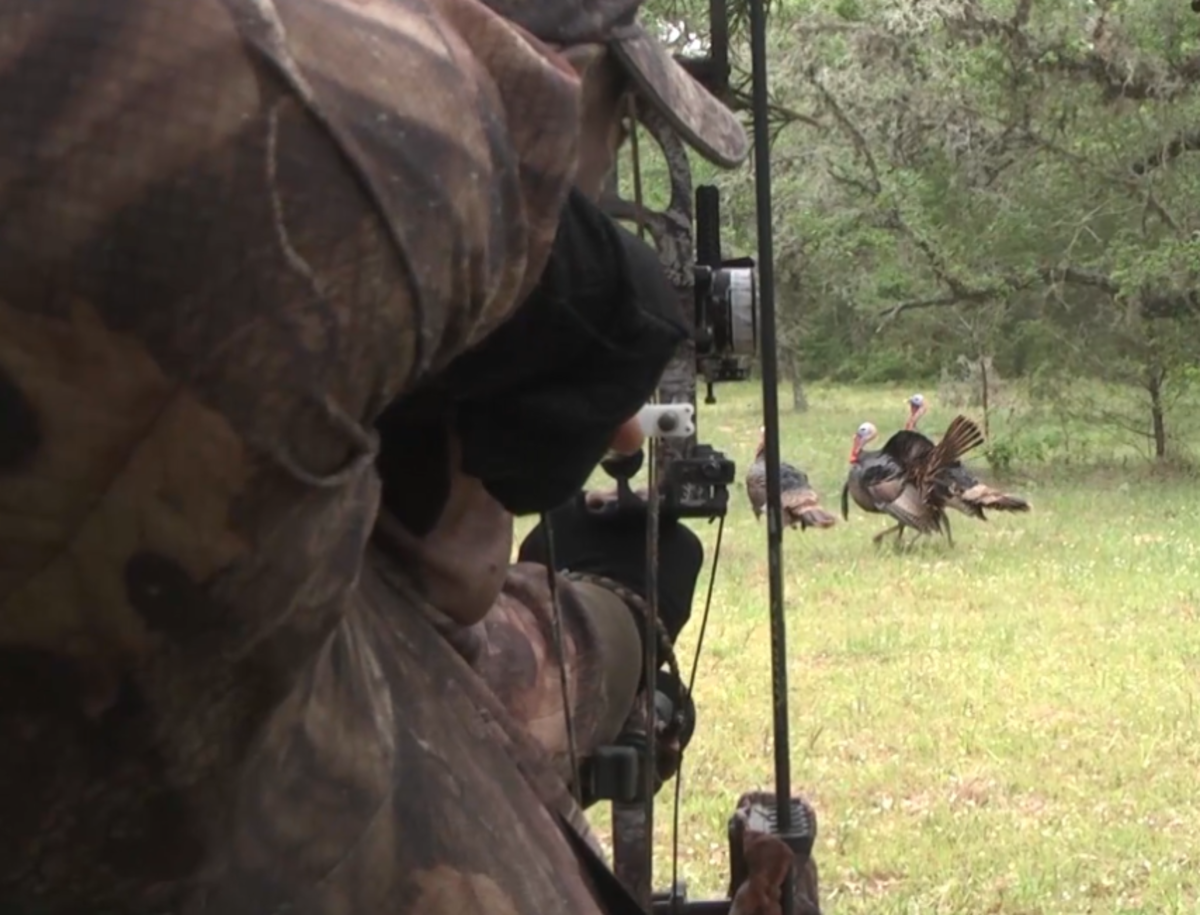 Hunting with HECS - GetOutdoorsTV