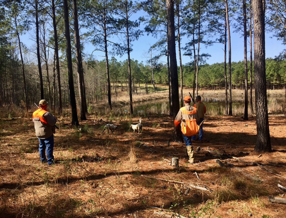 Hunting at Drake Landing - GetOutdoorsTV